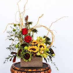 Culver City Florist | Flower Delivery by Botelya Elite Florals