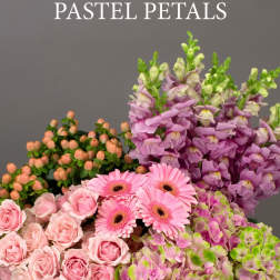 Montclair Florist | Flower Delivery by Montclair Flowers and Gifts