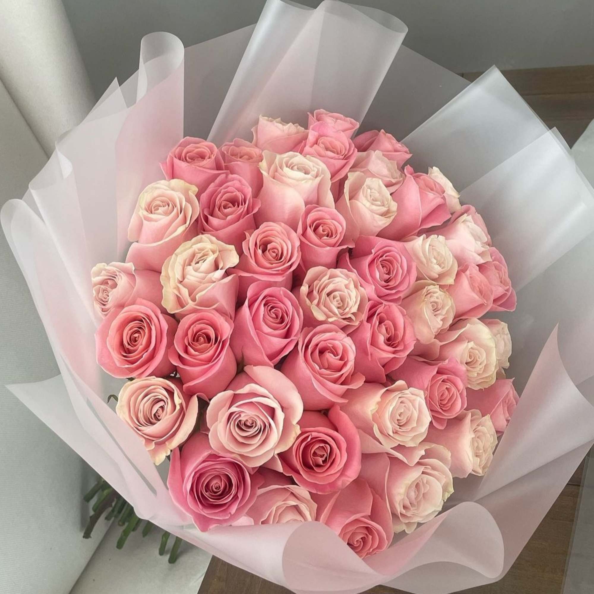 bagnasco coloring pages of a rose