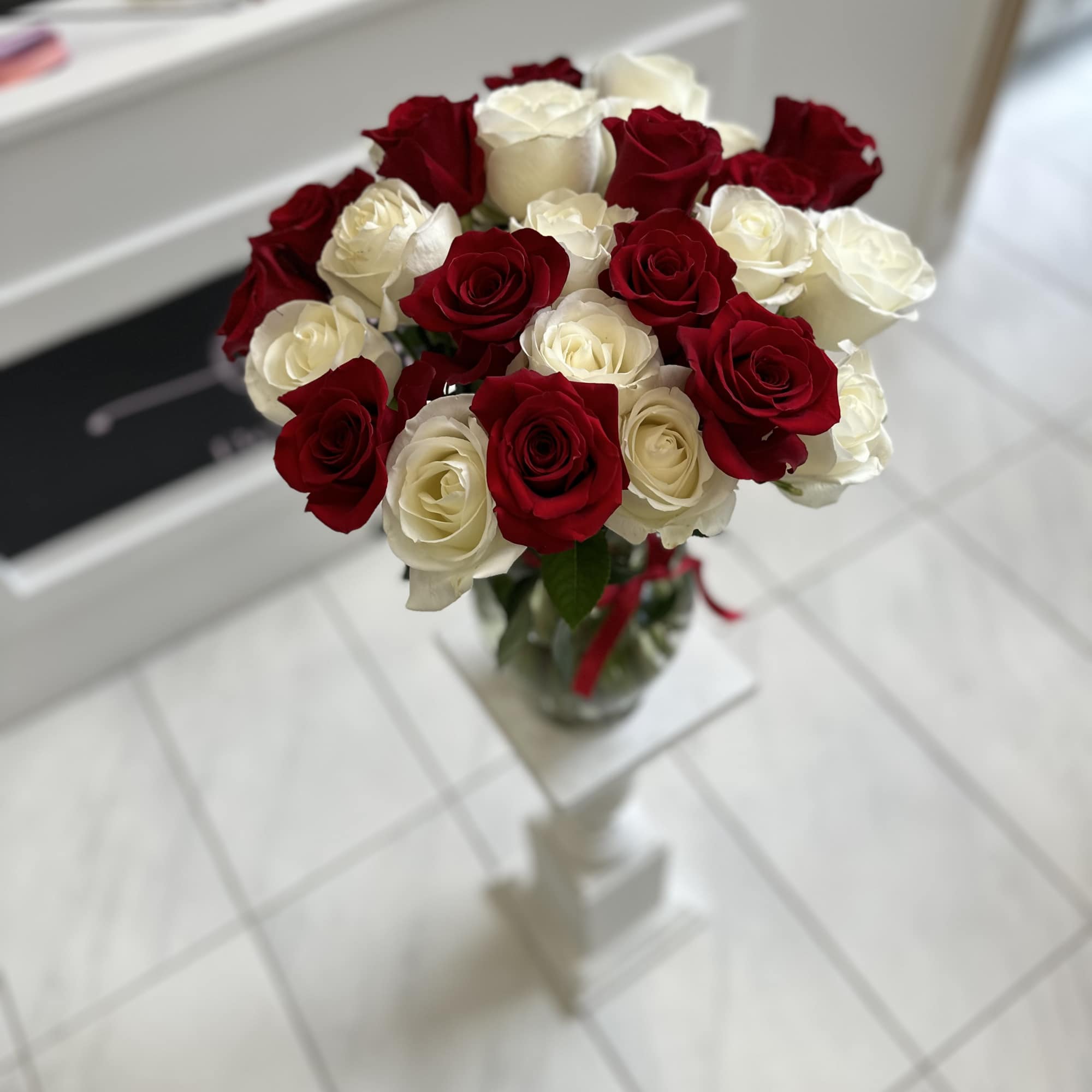 Snow-white and Rose-Red by BM in Silver Spring, MD Snow-white and Rose-Red by BM in Silver Spring, MD