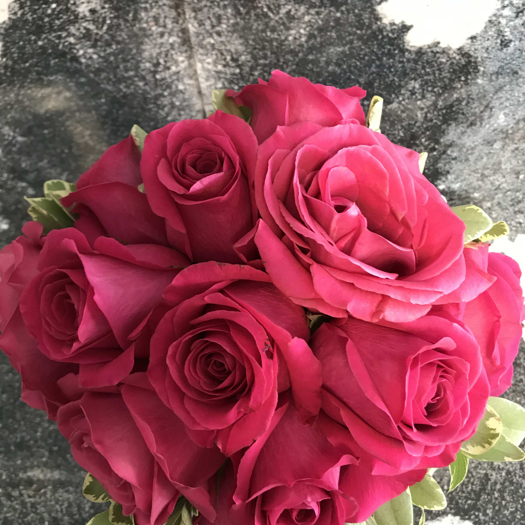 bagnasco coloring pages of a rose