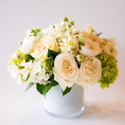 Cambridge Florist | Flower Delivery by Kendall Flower Shop