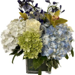 Naples Florist | Flower Delivery by Botanicals On The Gulf