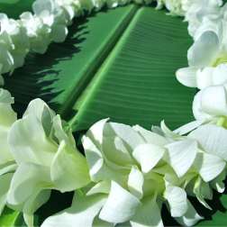 Provo Florist | Flower Delivery by BYU Campus Floral