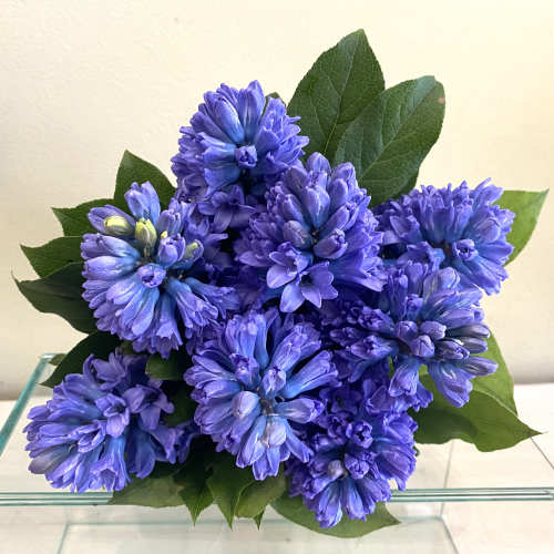 Brooklyn Florist | Flower Delivery by Floral Heights, Inc