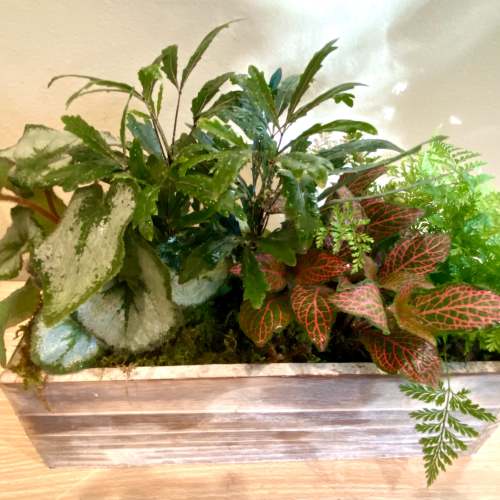 Brooklyn Florist | Flower Delivery by Floral Heights, Inc