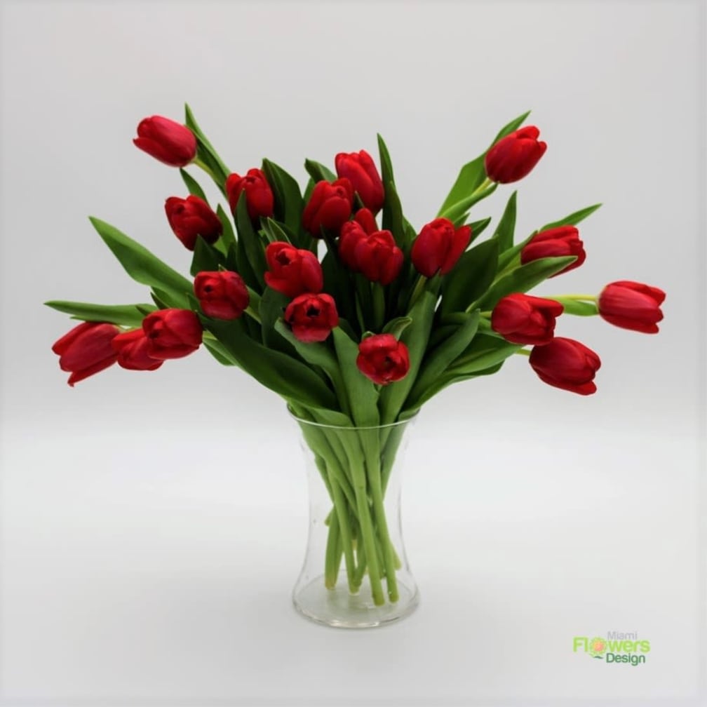 Miami Florist | Flower Delivery by Miami Flowers
