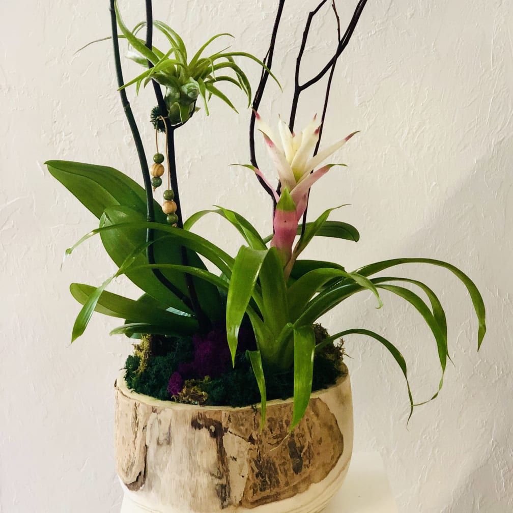 Naples Florist | Flower Delivery by Focus Floral