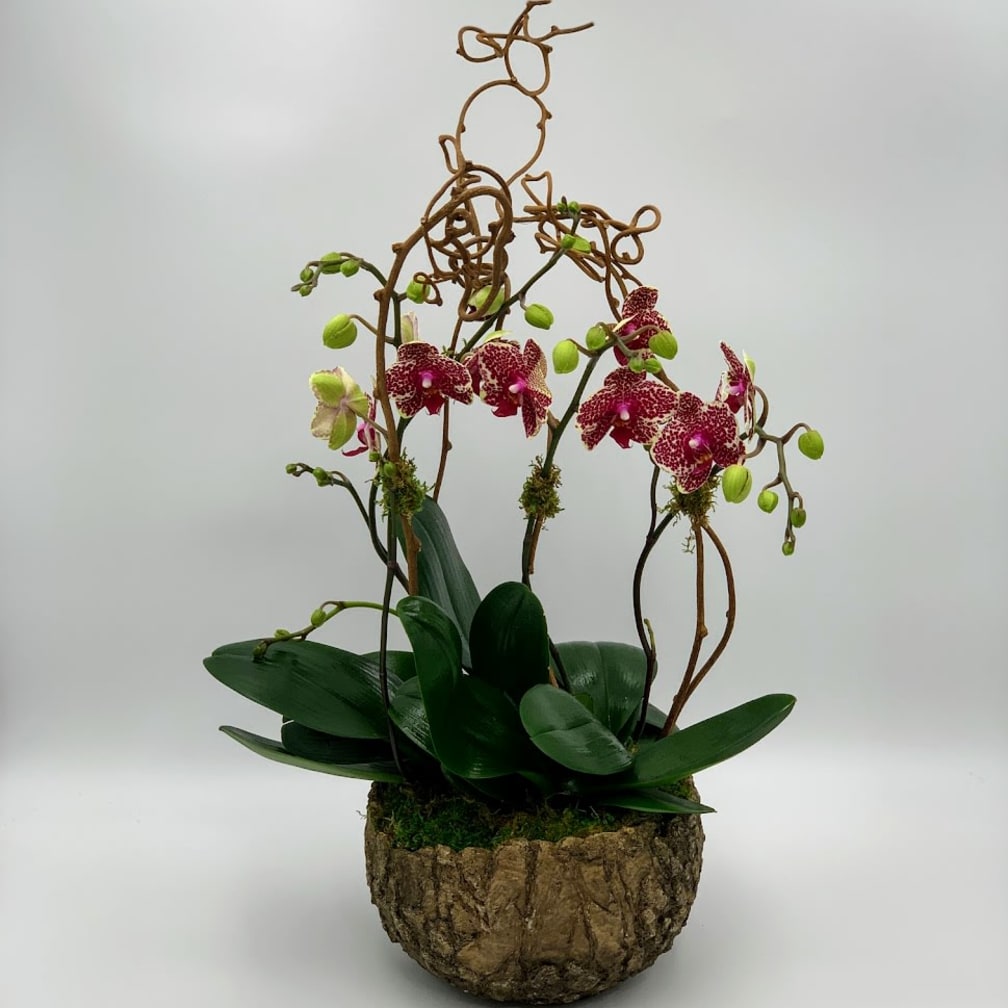 Miami Florist | Flower Delivery by Miami Flowers