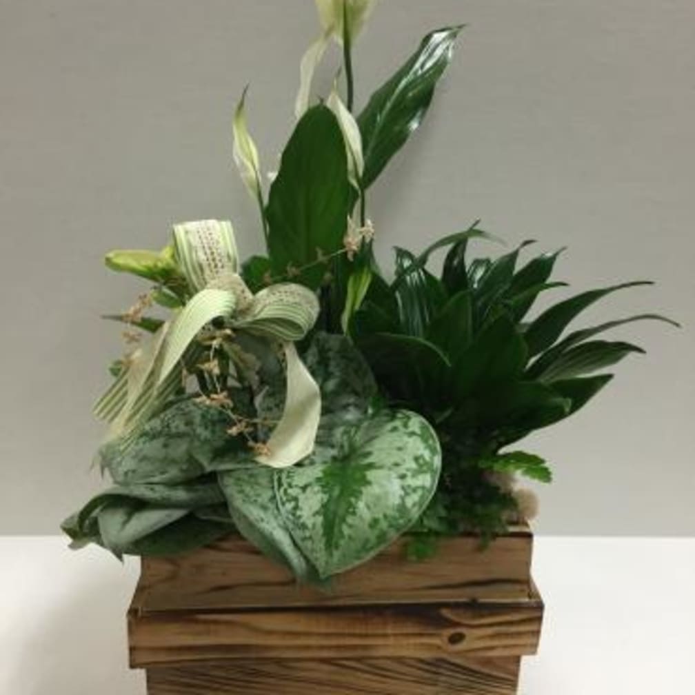 Cypress Florist | Flower Delivery by Classics Flowers and Confections