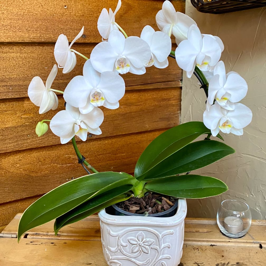 Cary Florist | Flower Delivery by Wildrose Floral Design