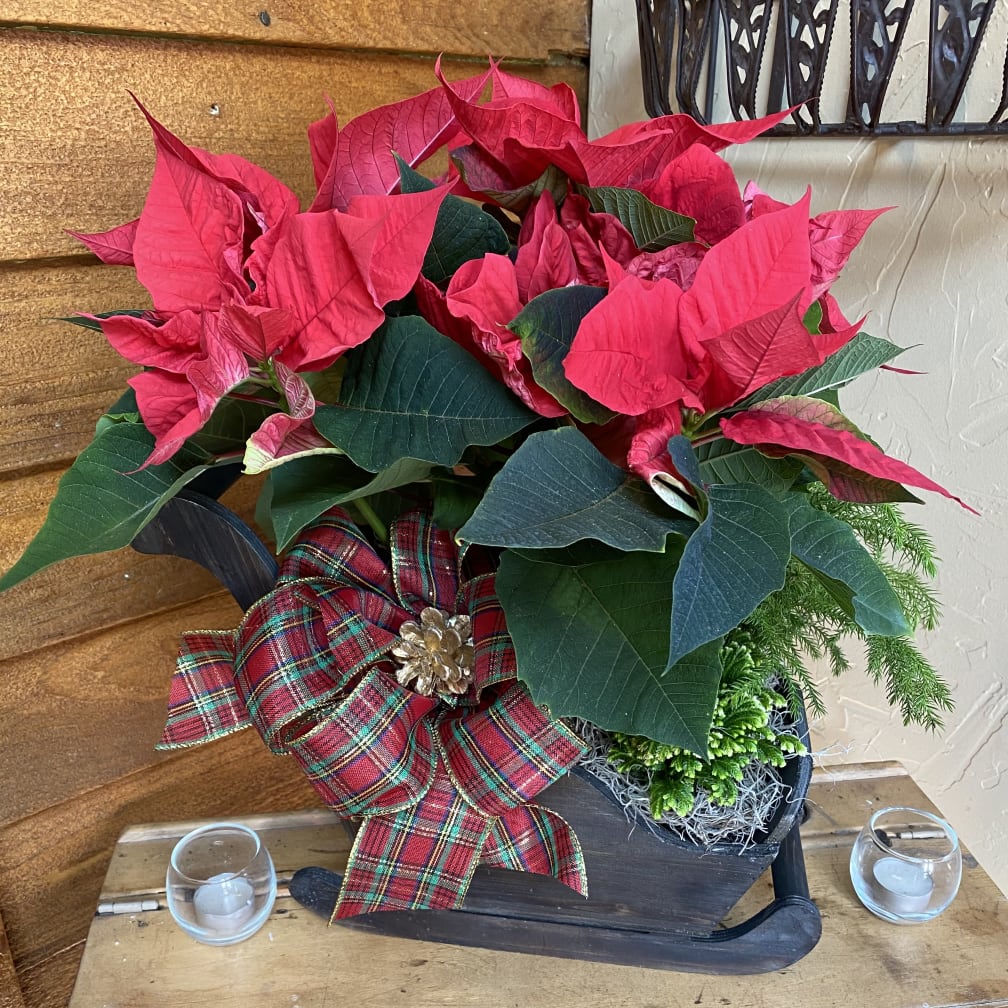 Cary Florist | Flower Delivery by Wildrose Floral Design