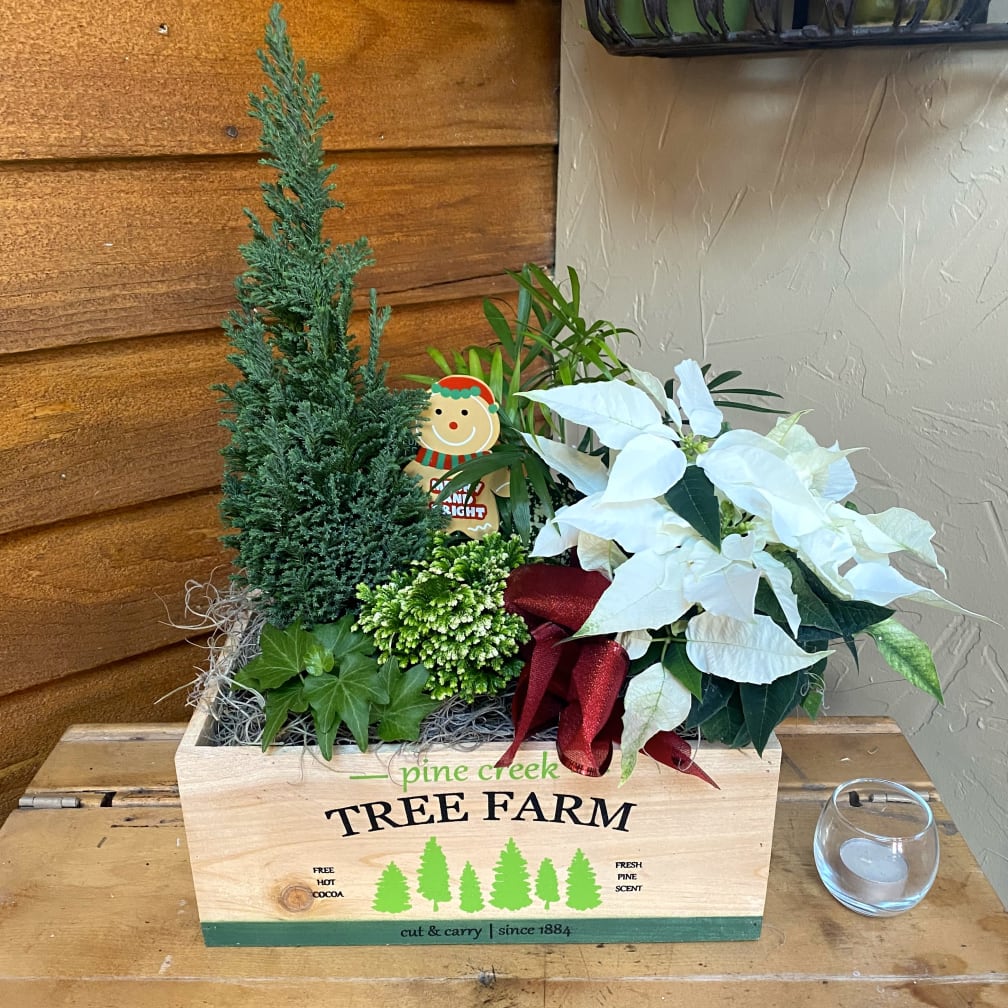 Cary Florist | Flower Delivery by Wildrose Floral Design