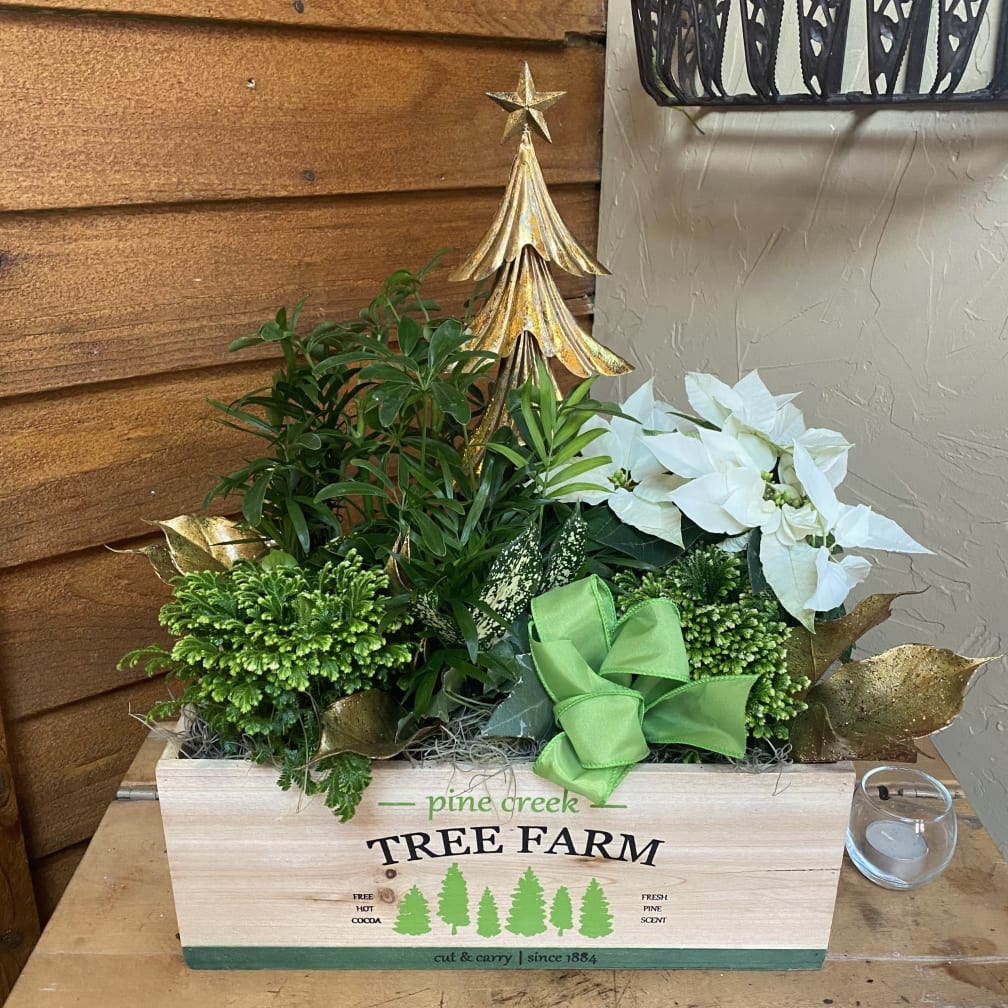 Cary Florist | Flower Delivery by Wildrose Floral Design