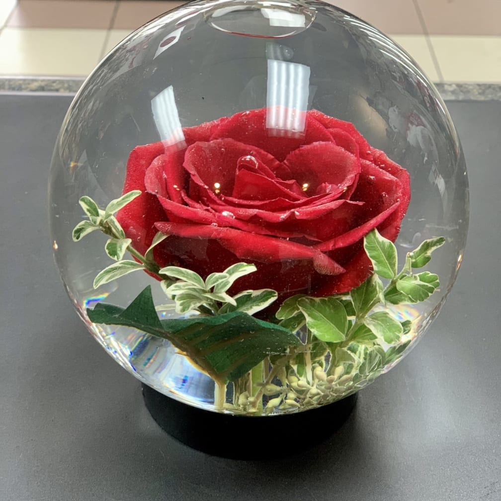 Minneapolis Florist | Flower Delivery by Rose Shop MN