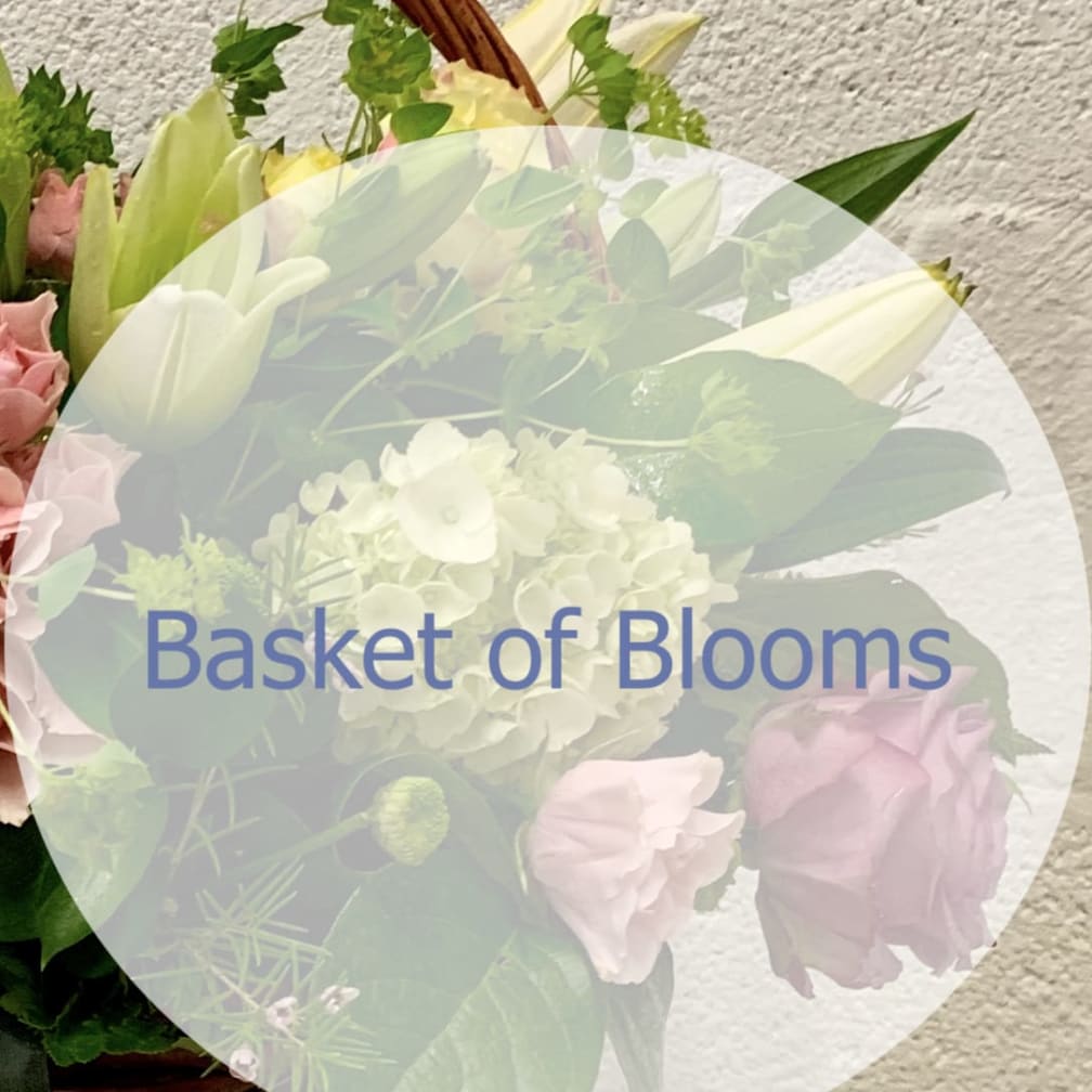 Coral Gables Florist | Flower Delivery by Isa Entreflores