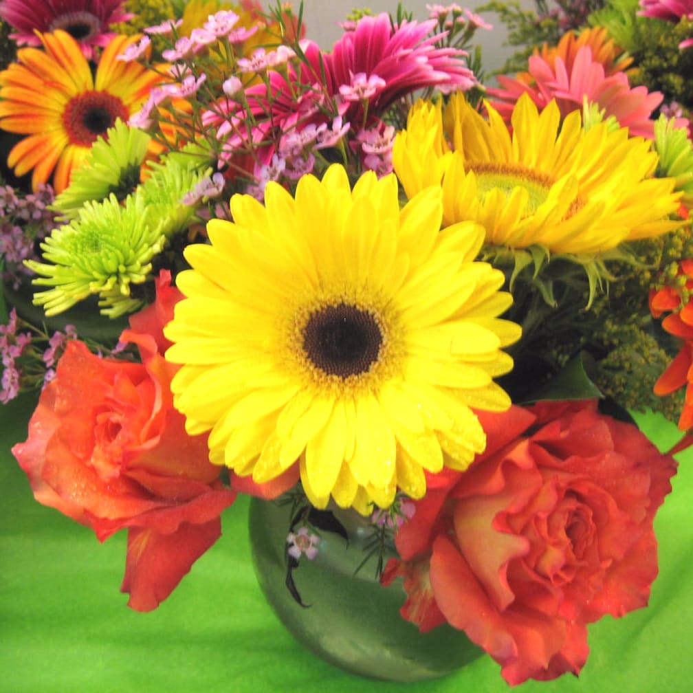 Bedminster Florist | Flower Delivery by Blooms at the Hills Florist