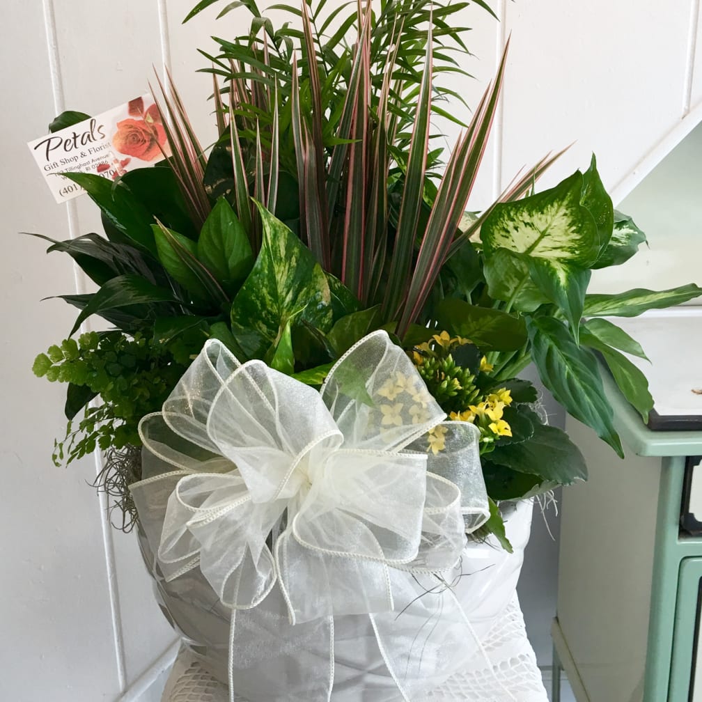 Warwick Florist | Flower Delivery by Petals Florist & Gift Shop