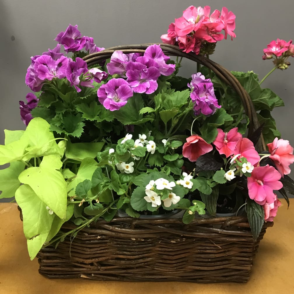 Belmont Florist | Flower Delivery by Paradise Flowers