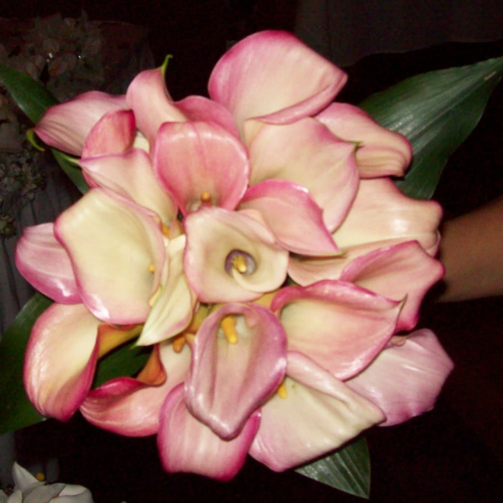 Palmdale Florist | Flower Delivery by Designs by Dolores