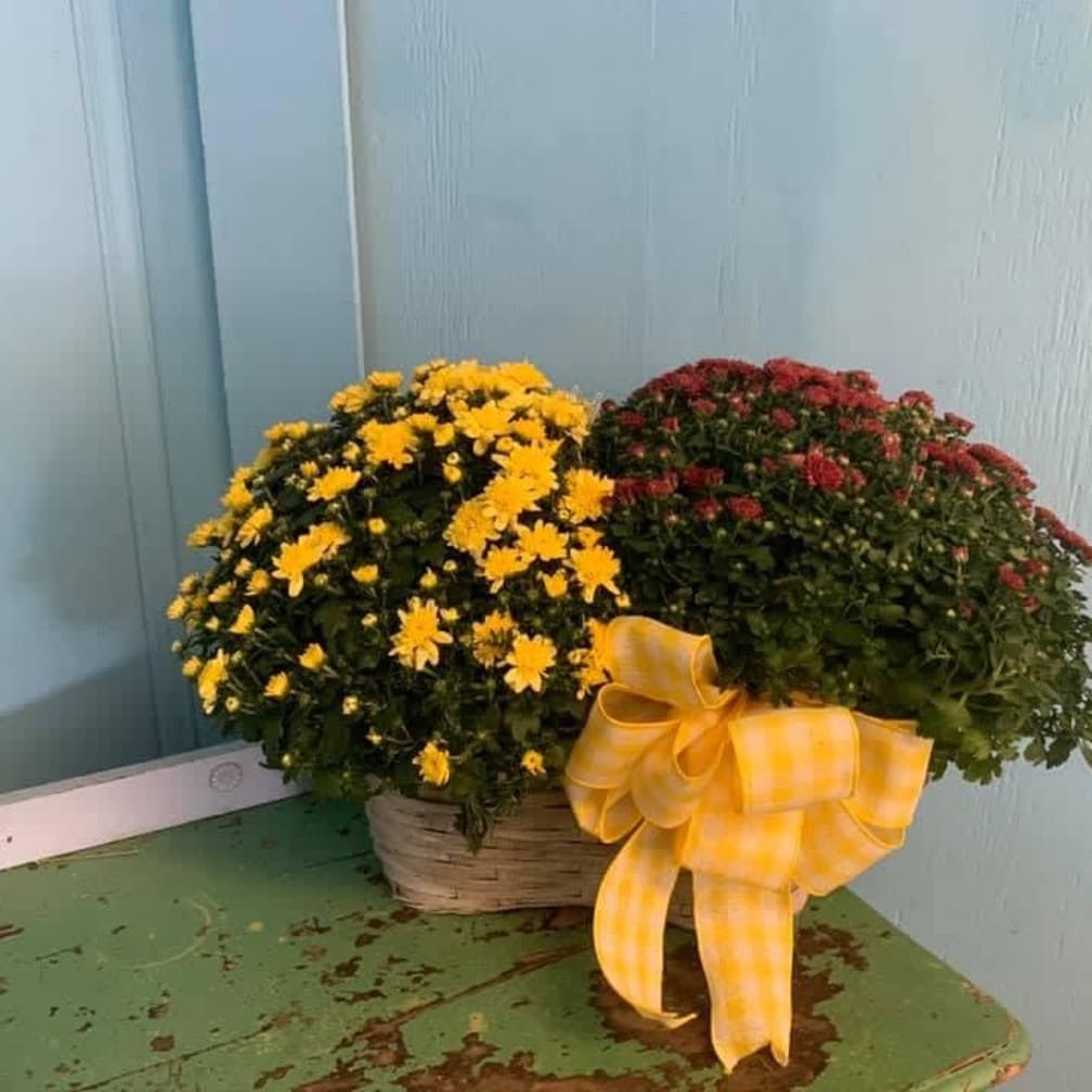 Anderson Florist | Flower Delivery by A Basket of Blessings of Anderson