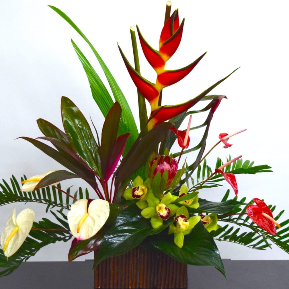 Costa Mesa Florist | Flower Delivery by Island Florals