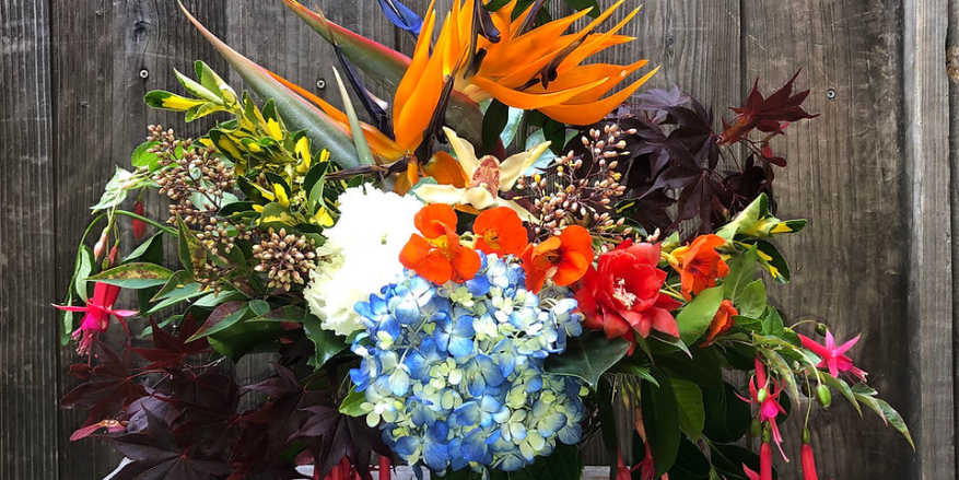 Our Photo Gallery | Florally Fleurish