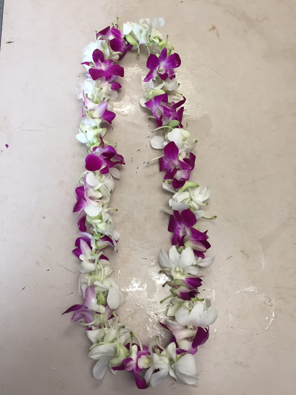 GRADUATION LEI (PURPLE AND WHITE ) by Pasadena Floral Design