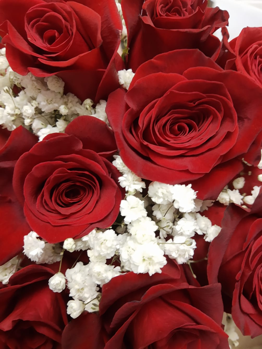 Wrapped Bouquet of Red Roses by Rosebud Floral & Giftware
