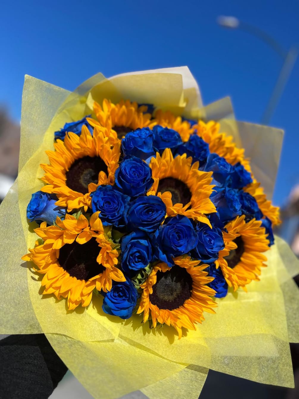 Yellow sunflowers with blue roses by San Jose Flowers