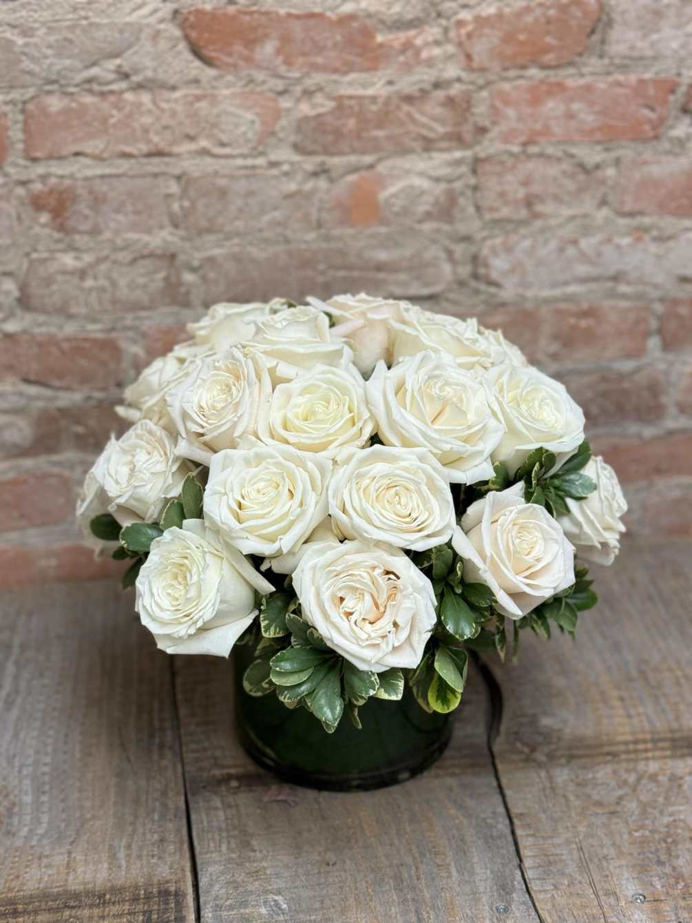 Two Dozen White Roses "In a bush" by Jasmine Rae Floral Design