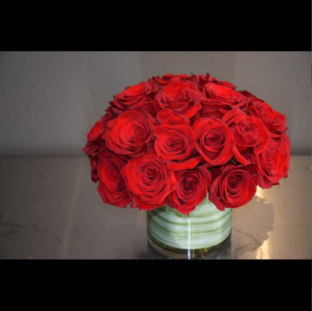 Simply Red by English Rose Garden