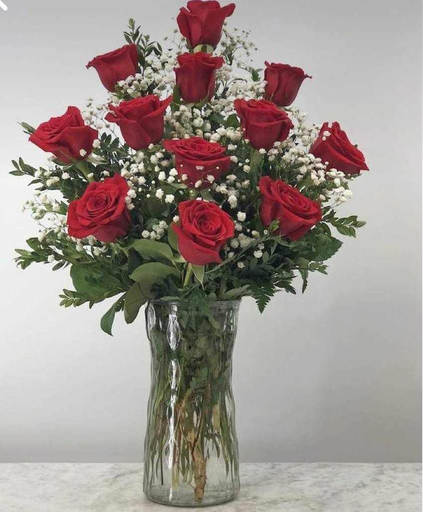 Dozen Long Stem Premium Red Roses by Triple Oaks Nursery & Herb Garden ...