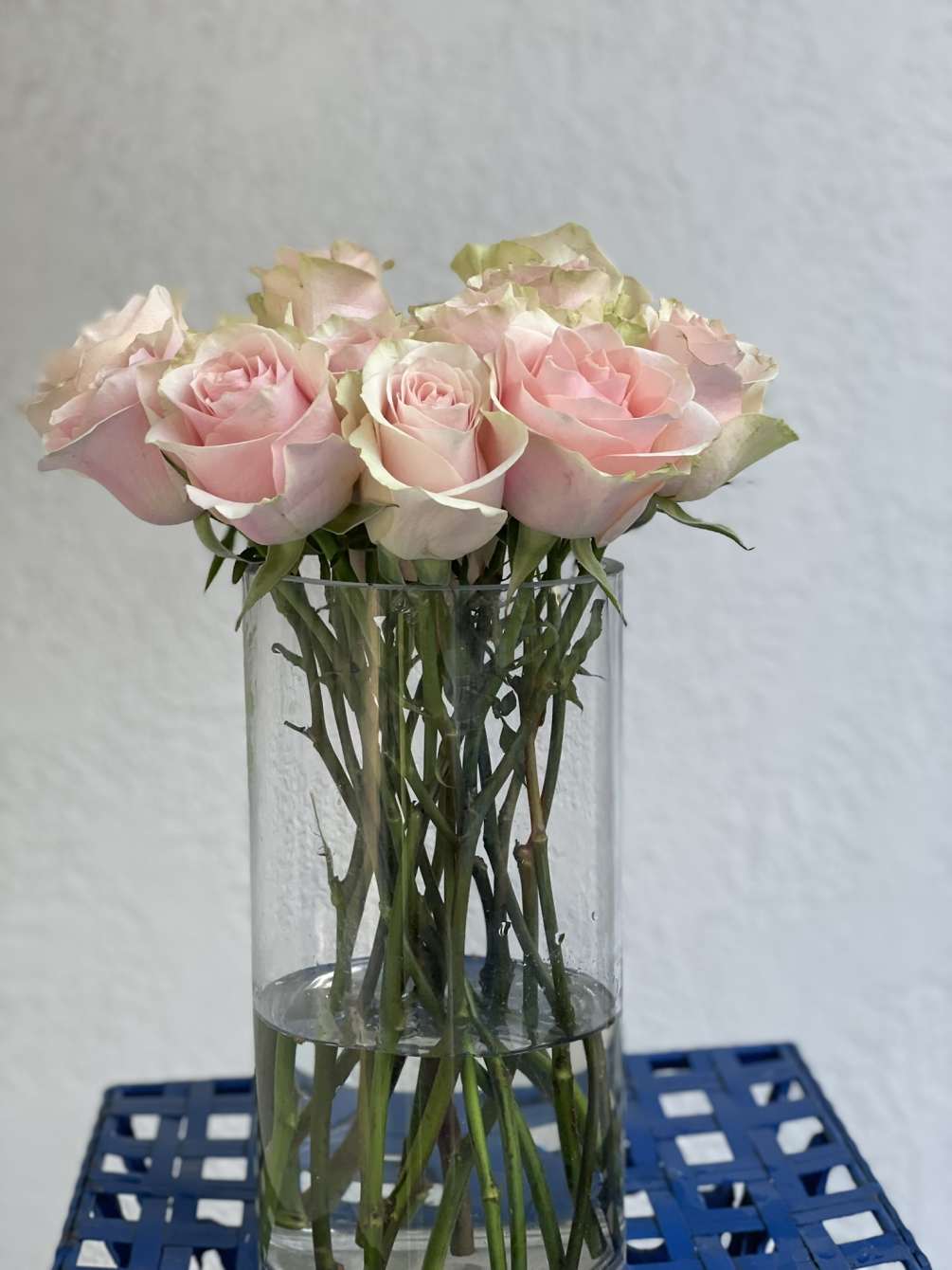 Baker's Dozen: Blush Pink Roses by Andrew Clarke House Design