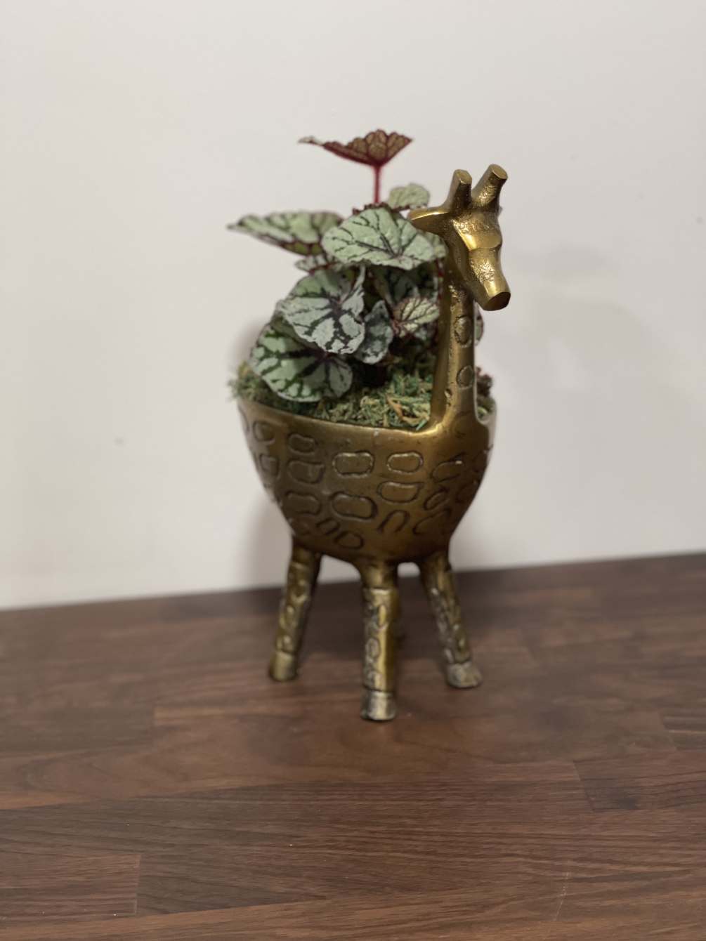 Gia Giraffe Planter with Plant by Embrace Roots