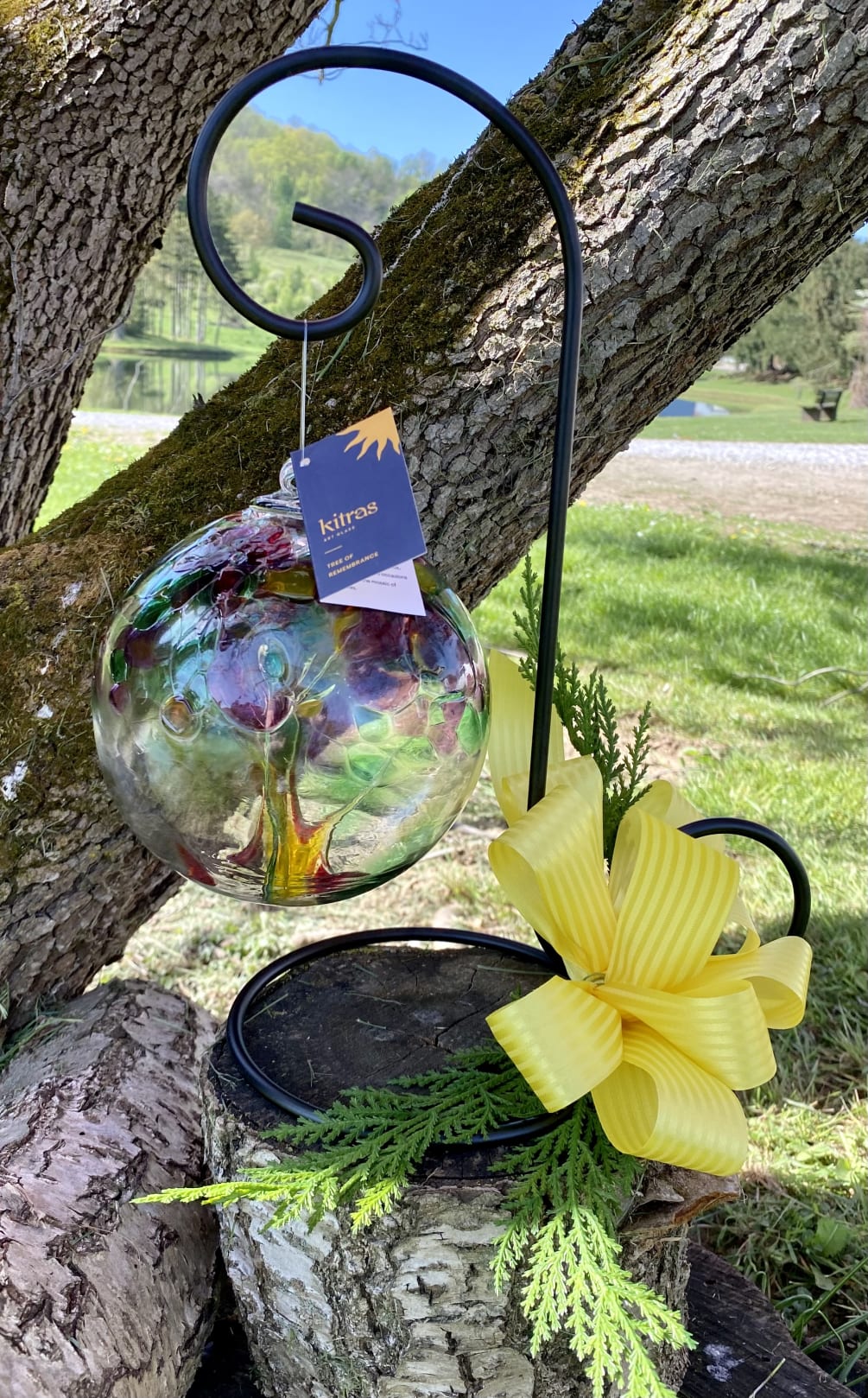 Kitras Ball 6” Tree of Remembrance by The Greenhouse, Inc.