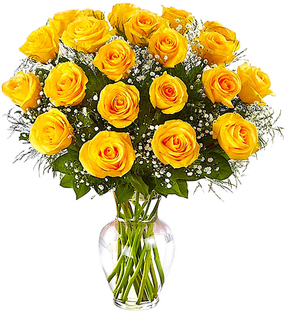 Ultimate Elegance Premium Long Stem Yellow Roses by Ninfa's Flowers
