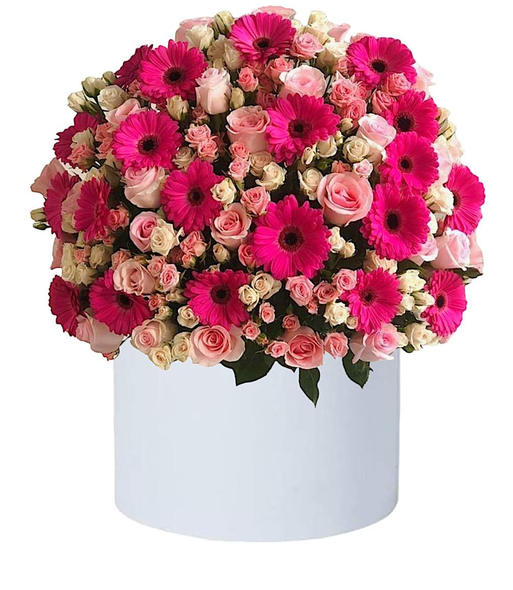 Hot Pink Gerbs and Roses Cylinder Box Arrangement by Ninfa's Flowers