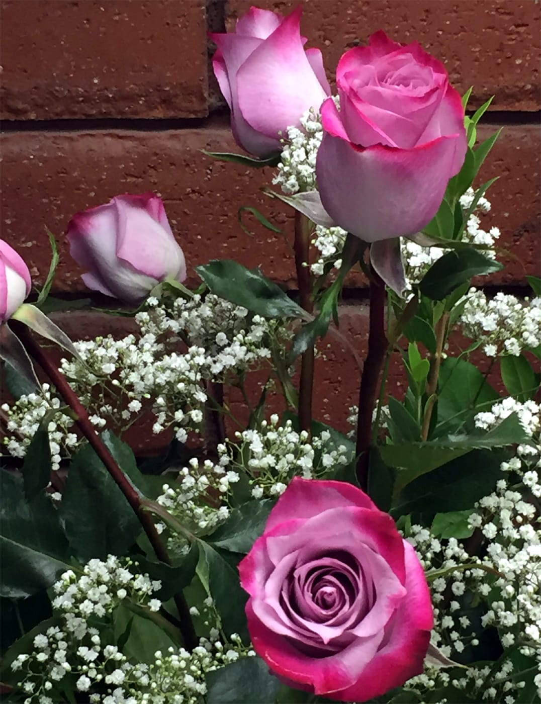Ecuadorian Long Stem Lavender Roses Vase in San Diego, CA | House of Stemms