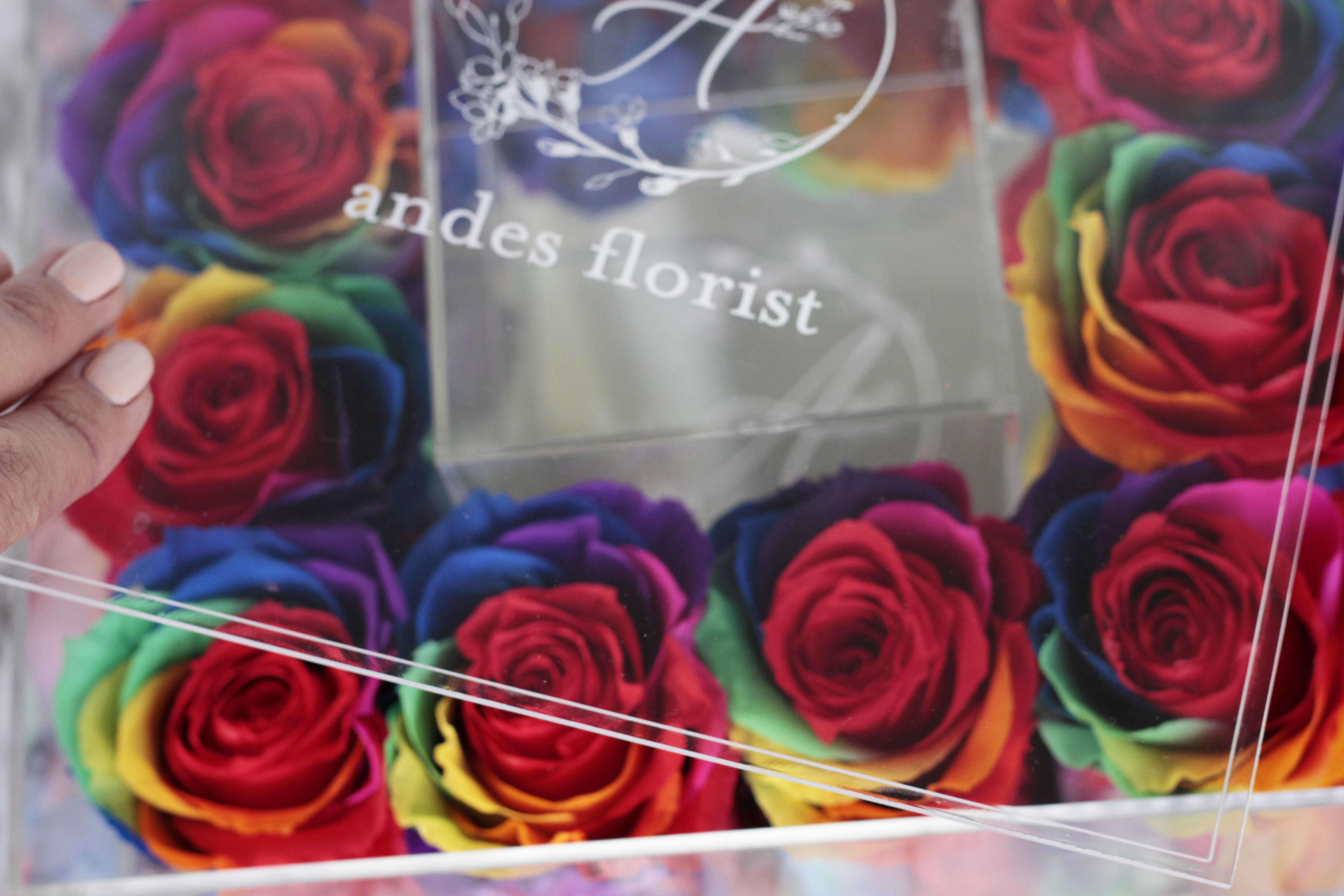 Dozen One Year Roses in a Mirrored Case - Rainbow in Torrance, CA ...