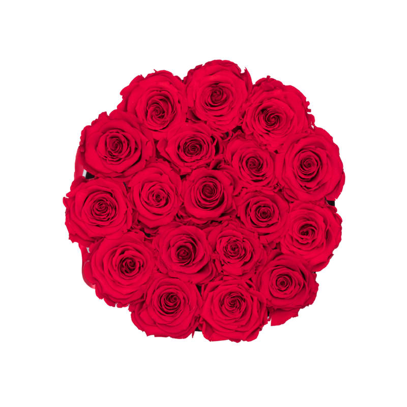 Preserved Roses in Round Box in Doral, FL | Leon Flowers inc.