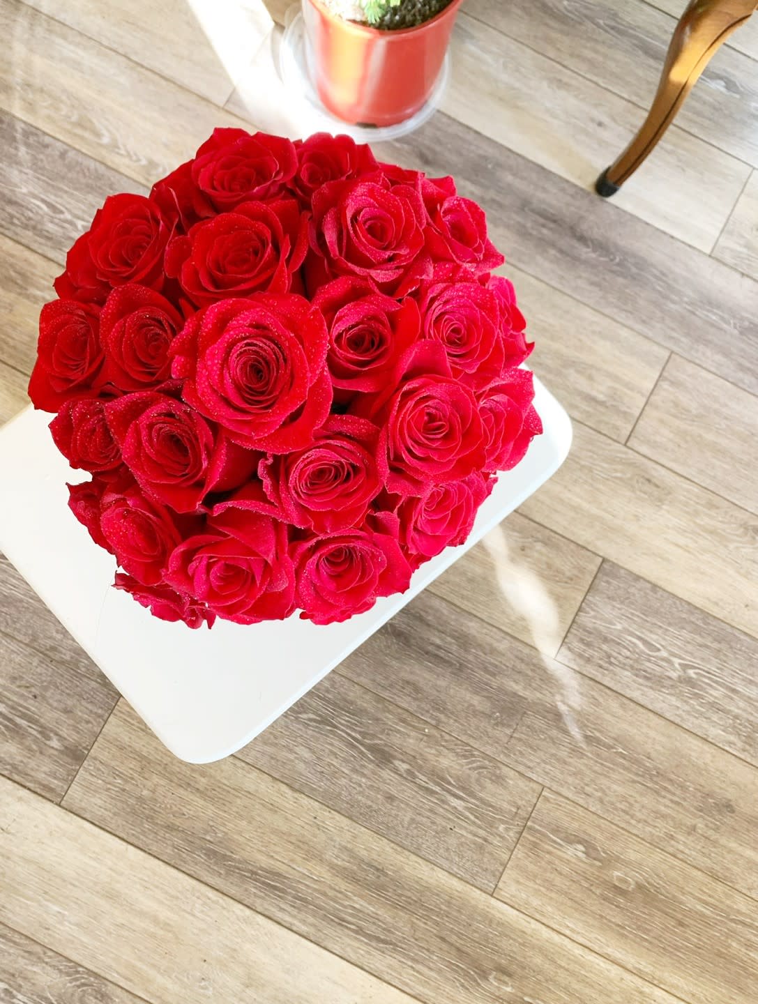 Three Dozen Red Roses in Cliffside Park, NJ | Esme Flowers