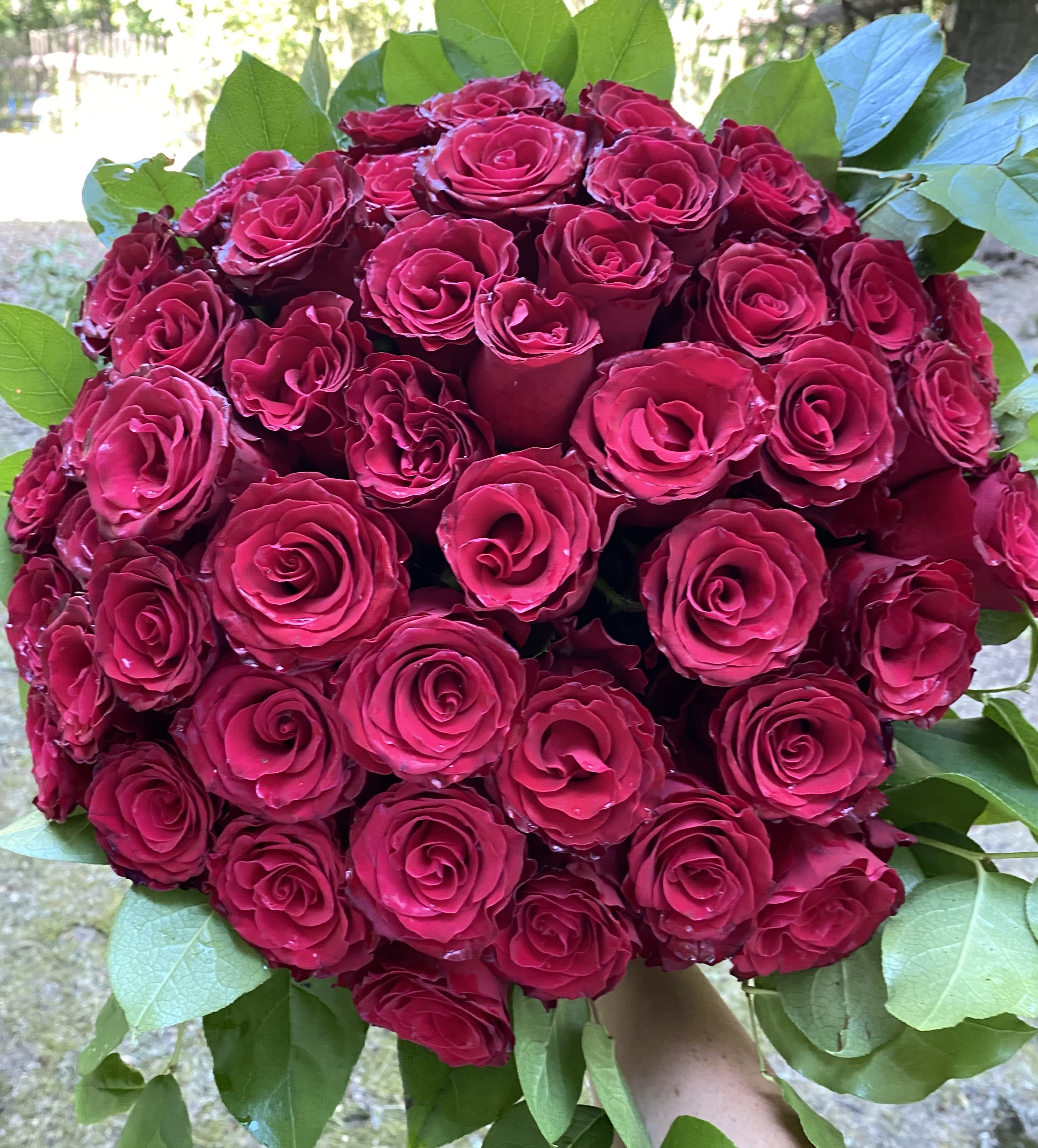 50 roses in Jupiter, FL | Joy de Fleurs