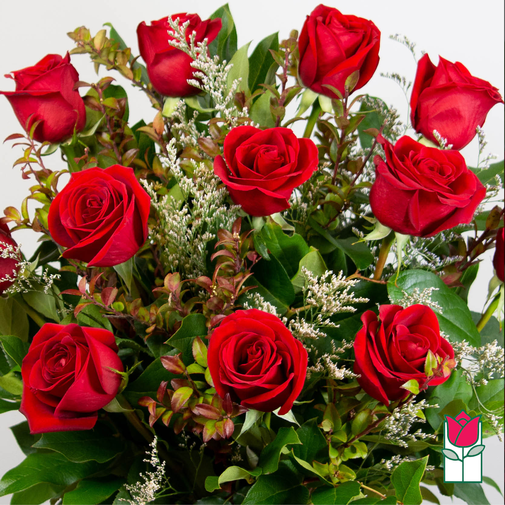 Beretanias Extra Long Stem Red Rose Masterpiece 30 Larger Flowers In Honolulu Hi