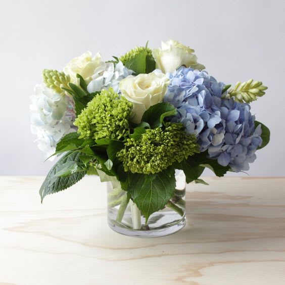 Azure classic in Natick, MA | Posies of Wellesley