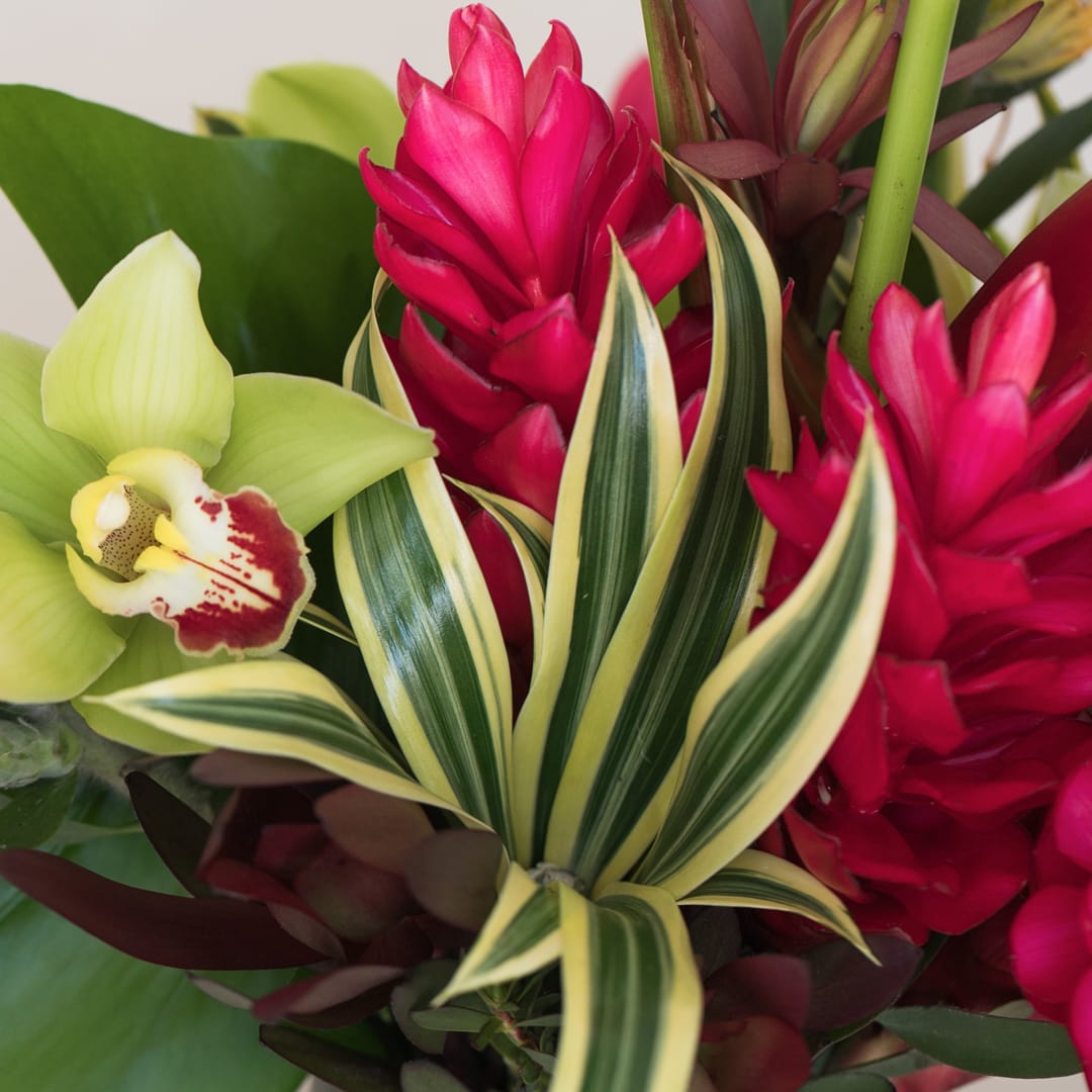 Tropical Bliss in Honolulu, HI | Watanabe Floral, Inc.