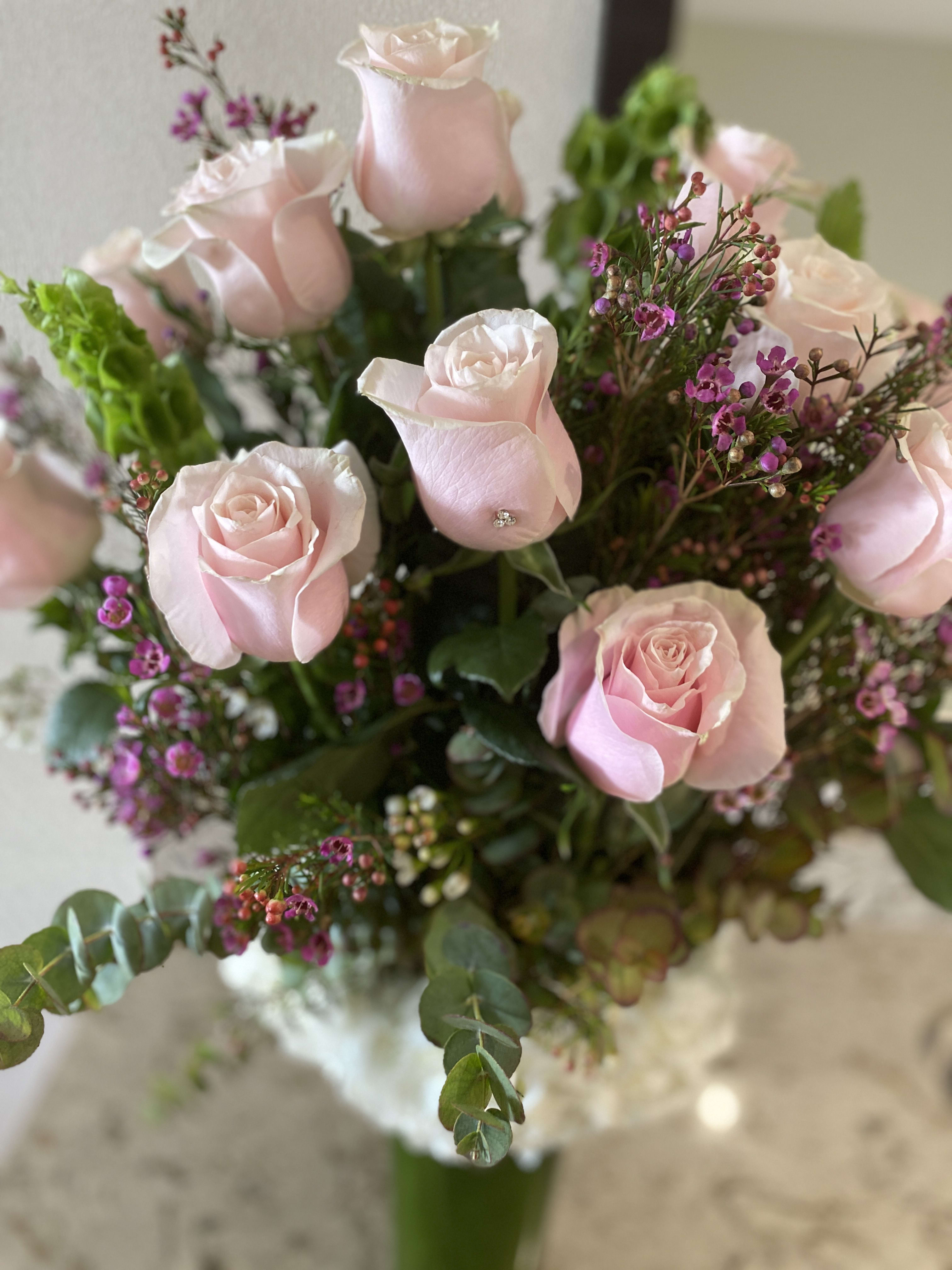 Brooke - Dozen Light Pink Long Stem Roses in Torrance, CA | Andes Florist