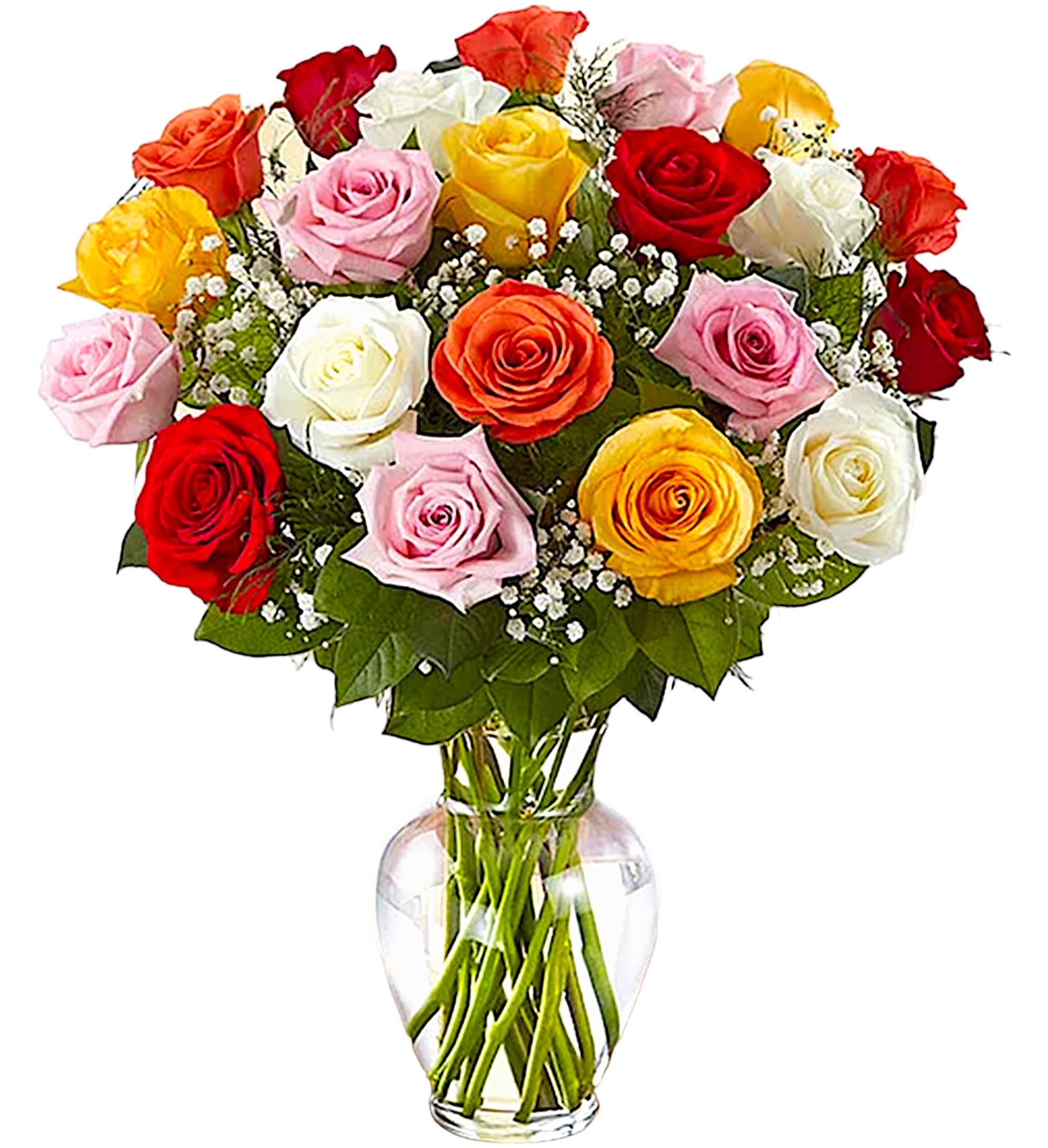Ultimate Elegance - Long Stem Assorted Roses by Ninfa's Flowers