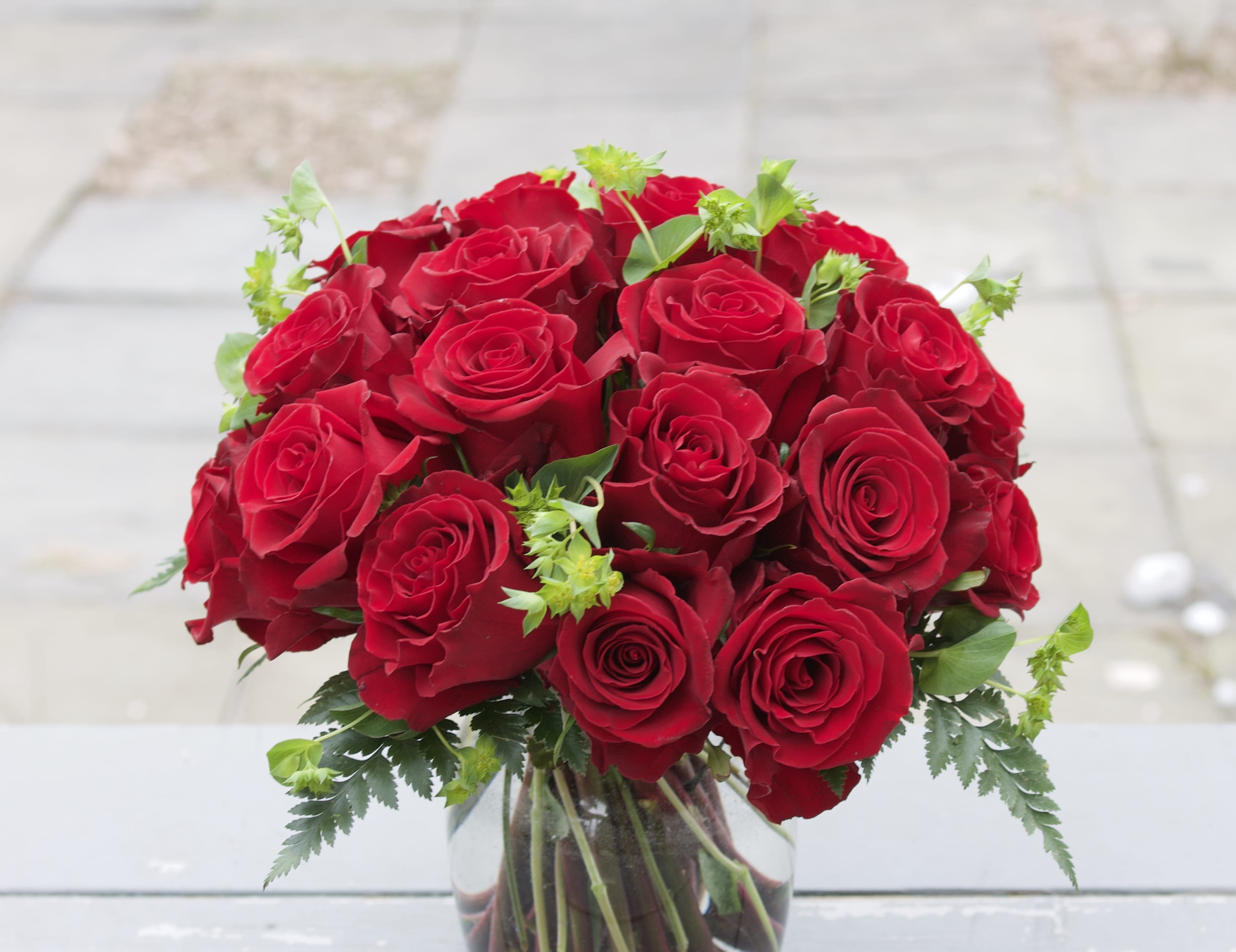 Two dozen rose vase arrangement - Any Color in Montclair, NJ | Rosaspina Two dozen rose vase arrangement - Any Color in Montclair, NJ | Rosaspina