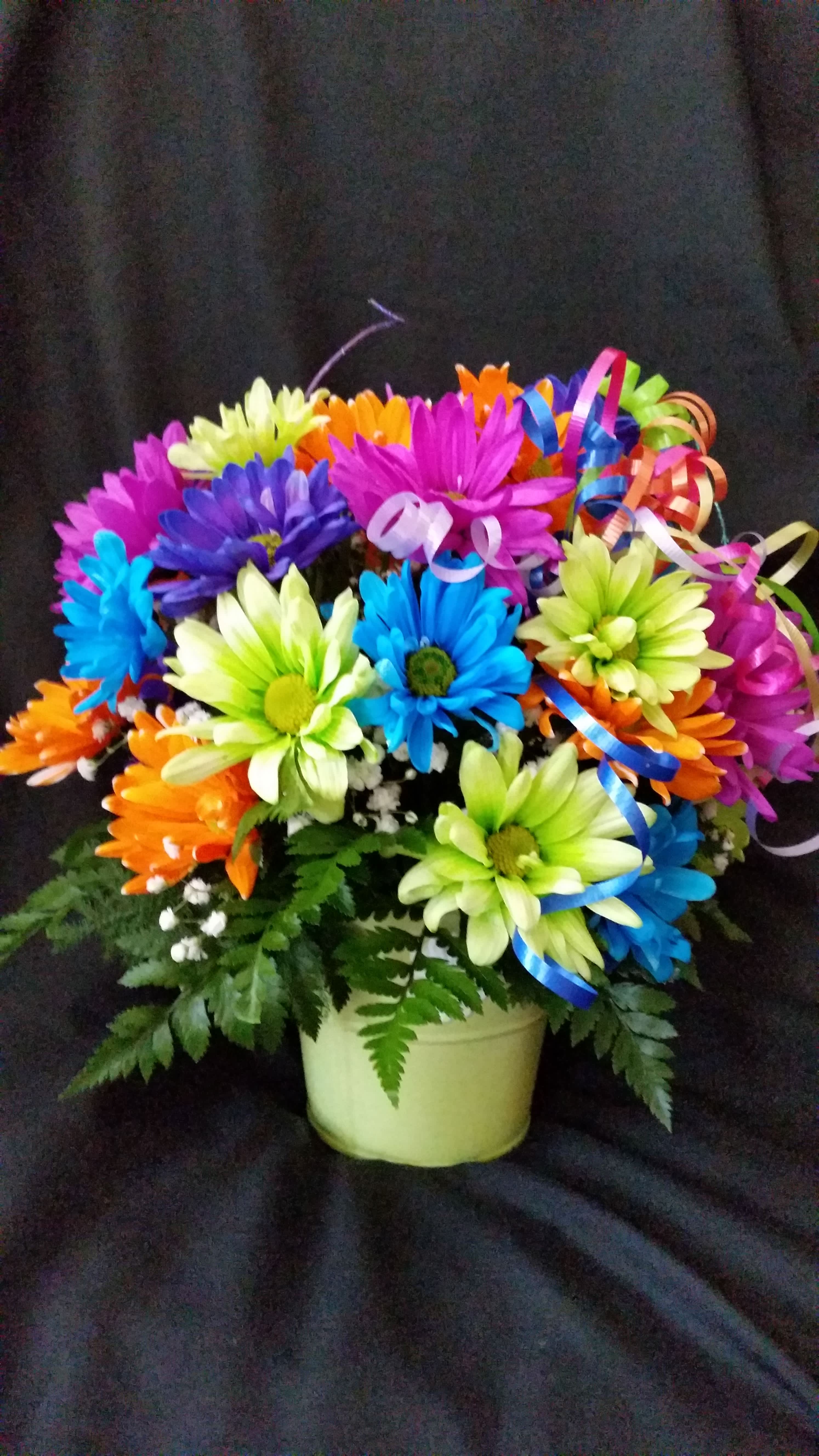 Crazy daisies store